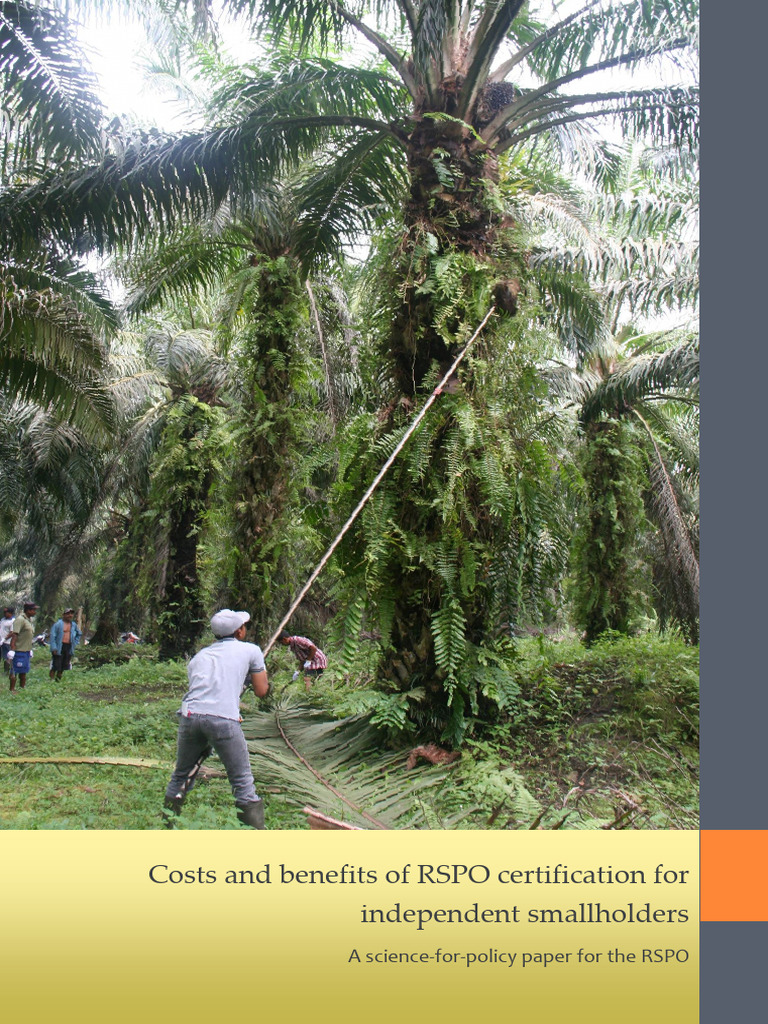 Costs and Benefits of RSPO Certification For Independent Smallholders ...
