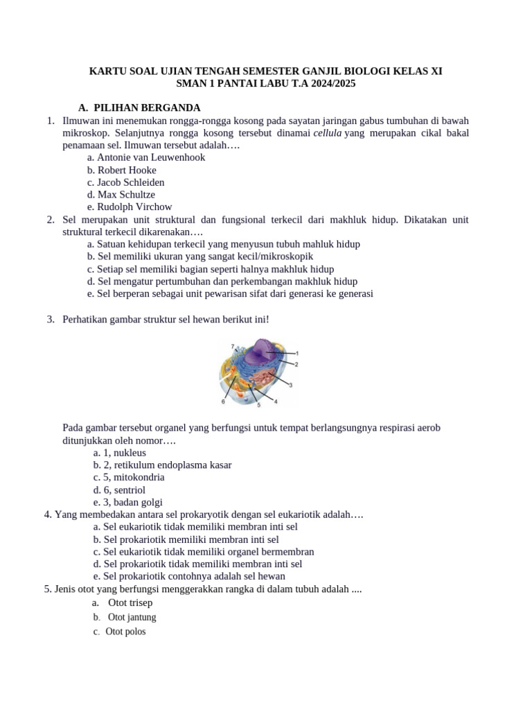 Kartu Soal Ujian Tengah Semester Ganjil Biologi Kelas Xi | PDF
