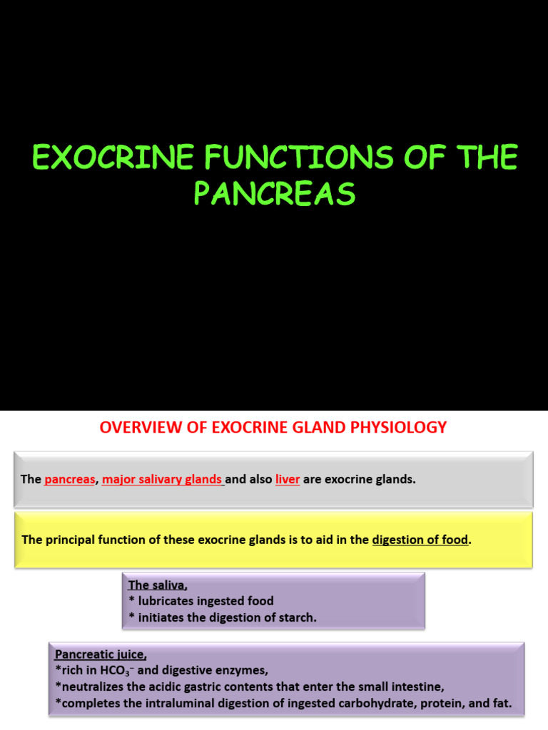Pancreas | PDF