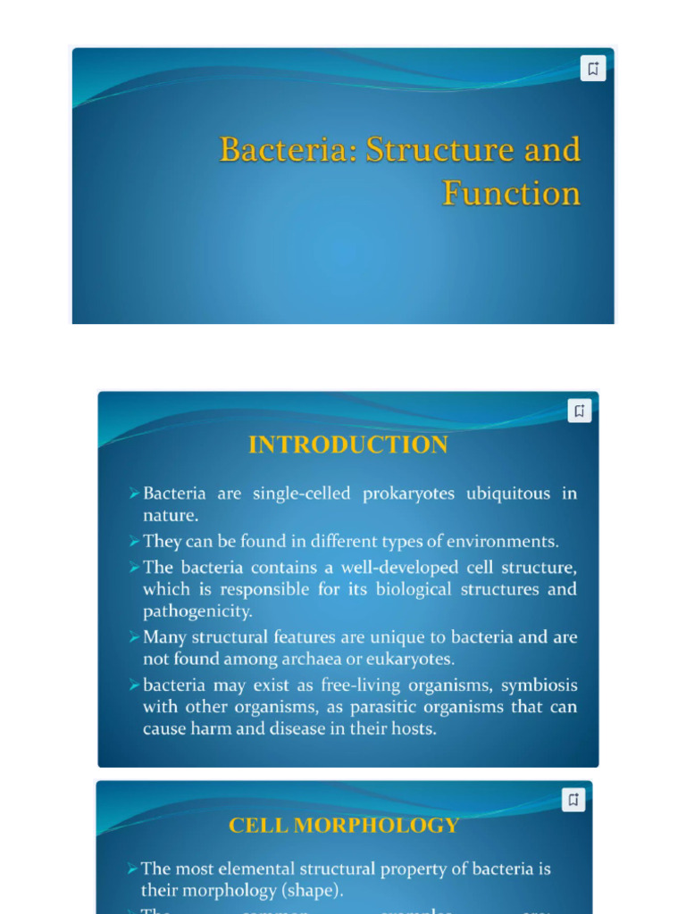 Prokaryotic Cell Structure | PDF