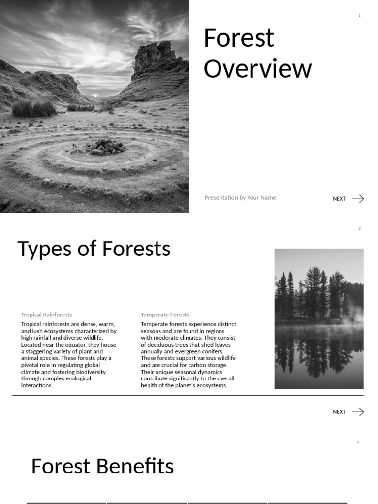 Forest Overview | PDF
