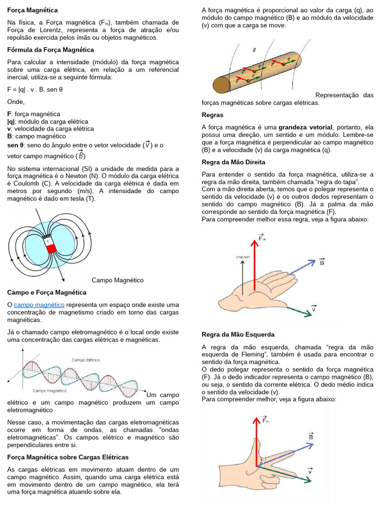 Força Magnética | PDF