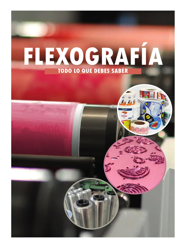 Revista Flexografía | PDF