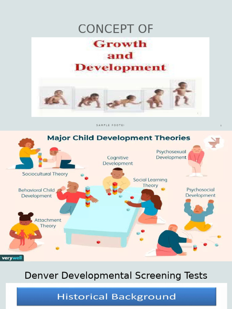 Developmental Theories | PDF