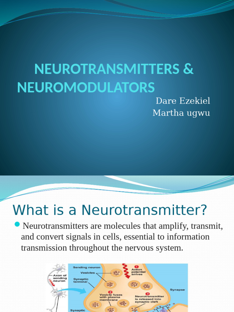 Neurotransmitter and Neuromodulators | PDF