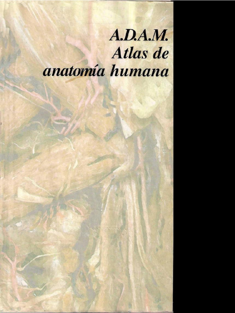 Toaz - Info Adam Atlas de Anatomia Humana Olson 1997 PR | PDF