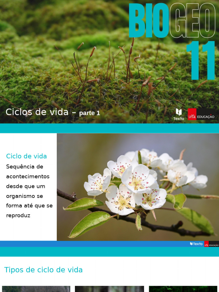 Ciclos de Vida I | PDF