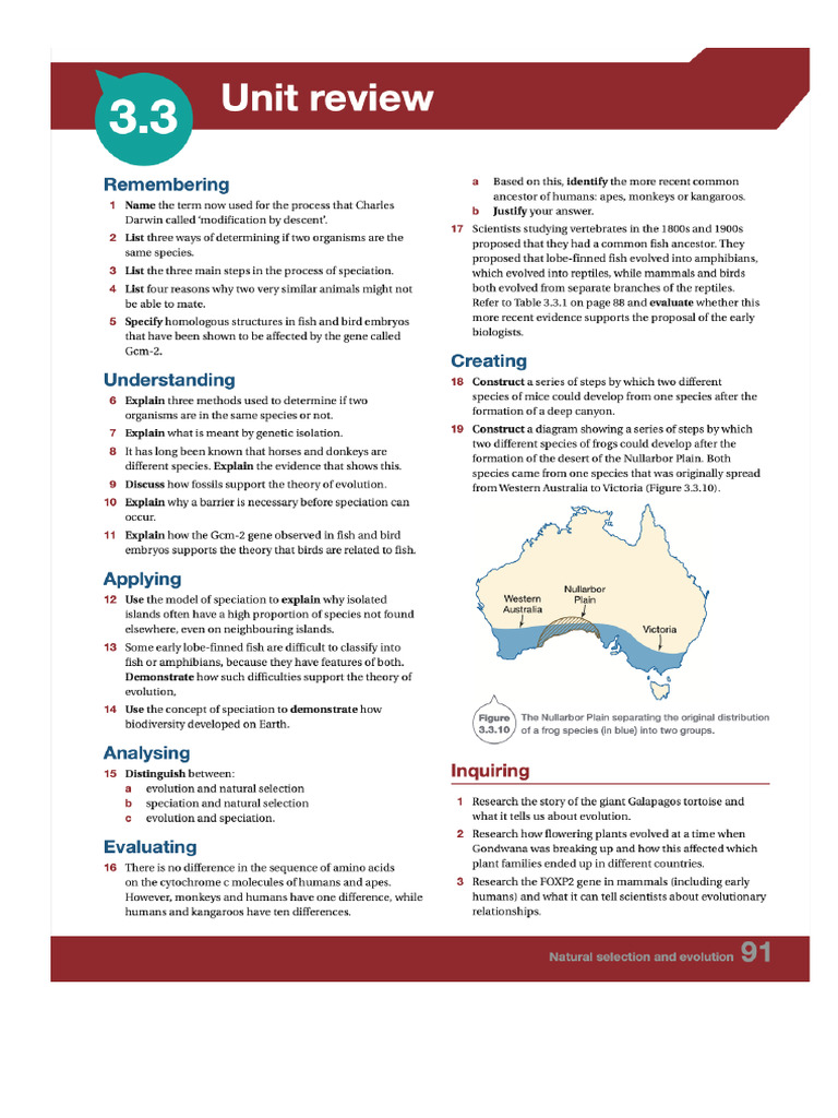 Evolution Unit Review | PDF