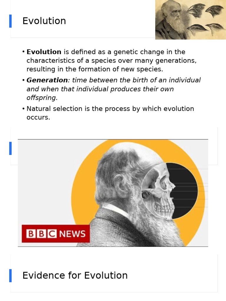 Evidence For Evolution | PDF | Fossil | Social Science