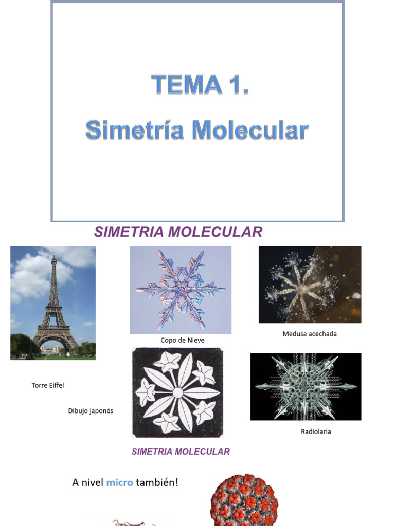 SIMETRIA MOLECULAR - New | PDF