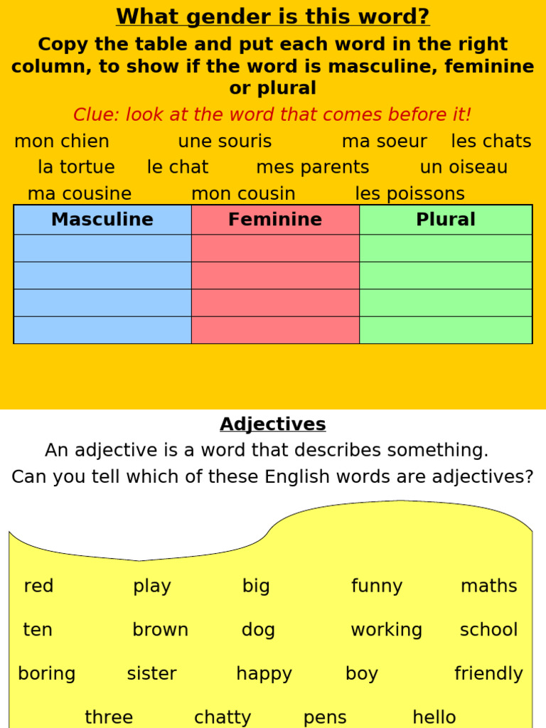 Gender & Regular Adjectives | PDF | Grammatical Gender | Languages