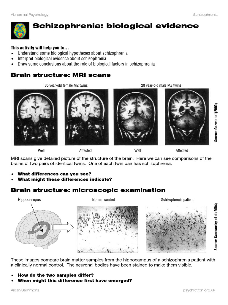 2.1.3. Schizophrenia - Brain Structure | PDF