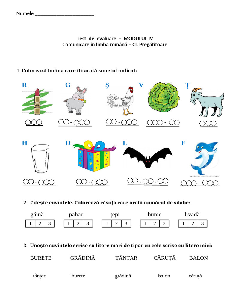 Evaluare CLR Modulul 4 | PDF