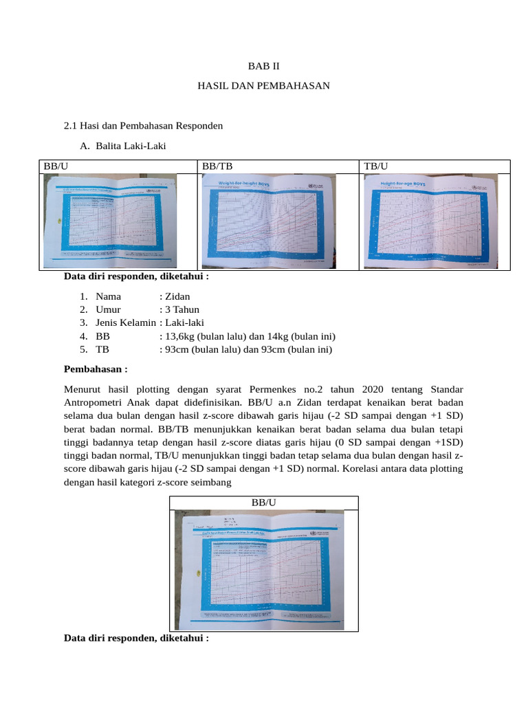 BAB - II - PLOTTING - 1 Fix | PDF