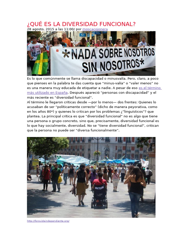 Que Es La Diversidad Funcional | PDF