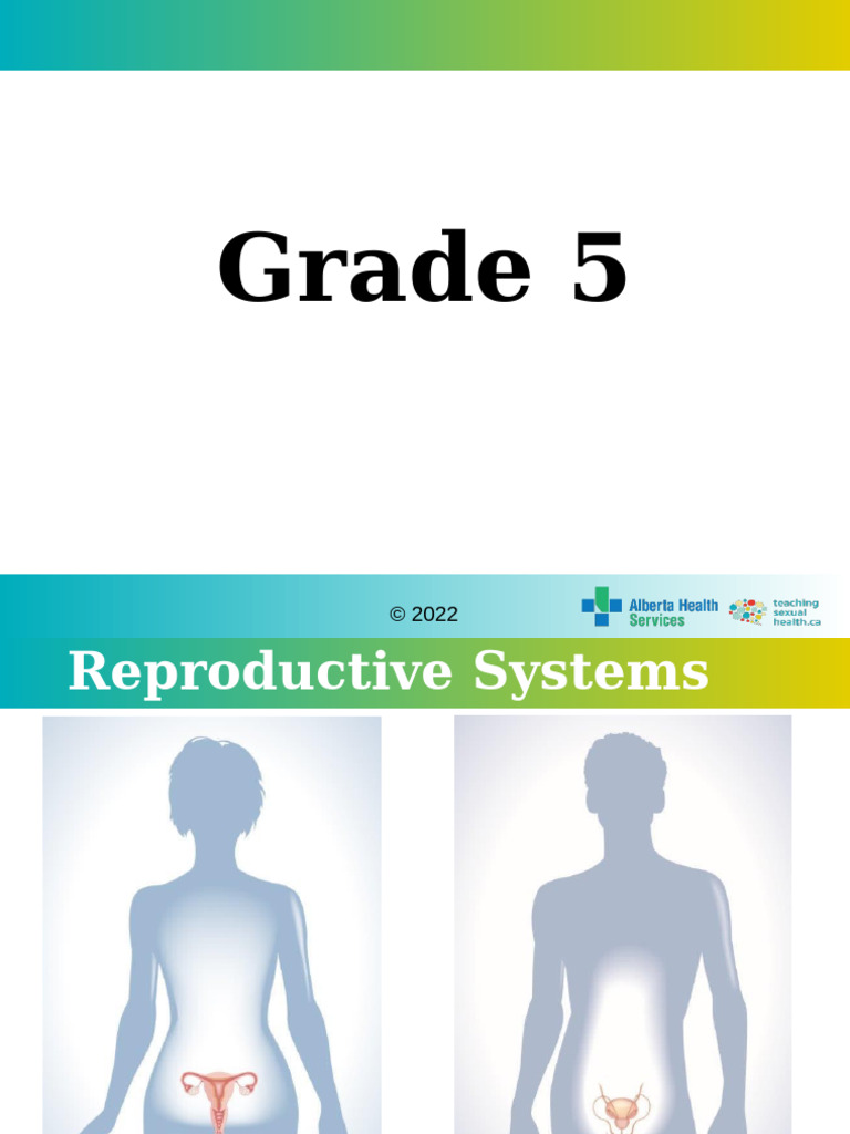 Gr5-Diagrams-EN | PDF
