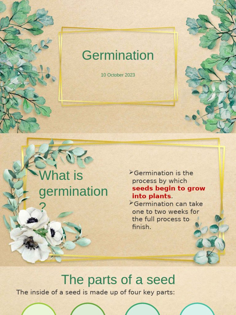 Germination | PDF