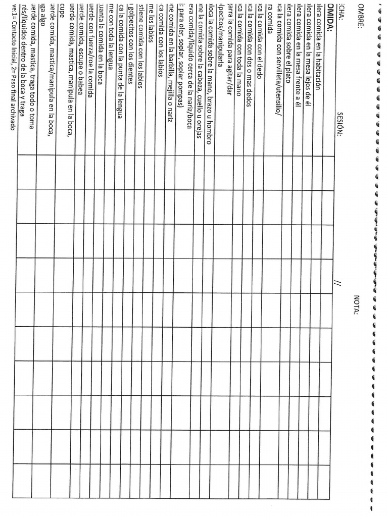 Registro Alimentación | PDF