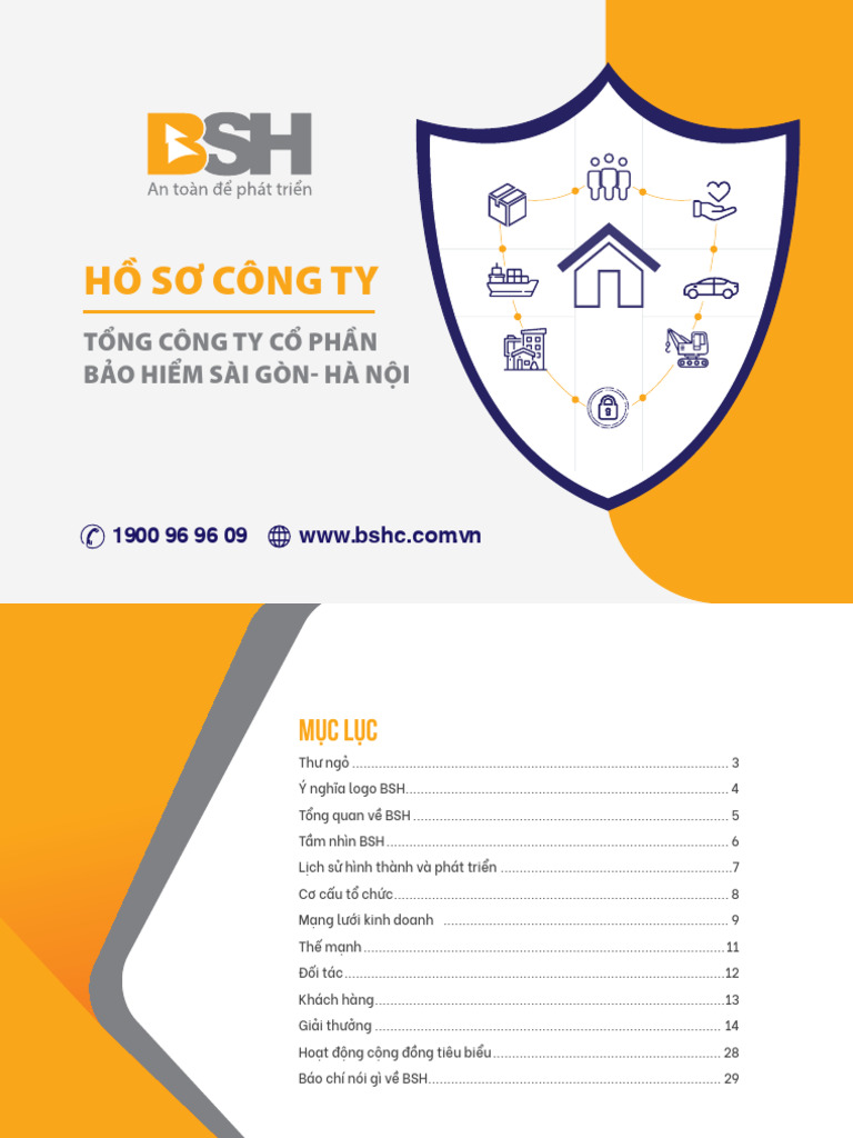 Profile BSH 2023 | PDF