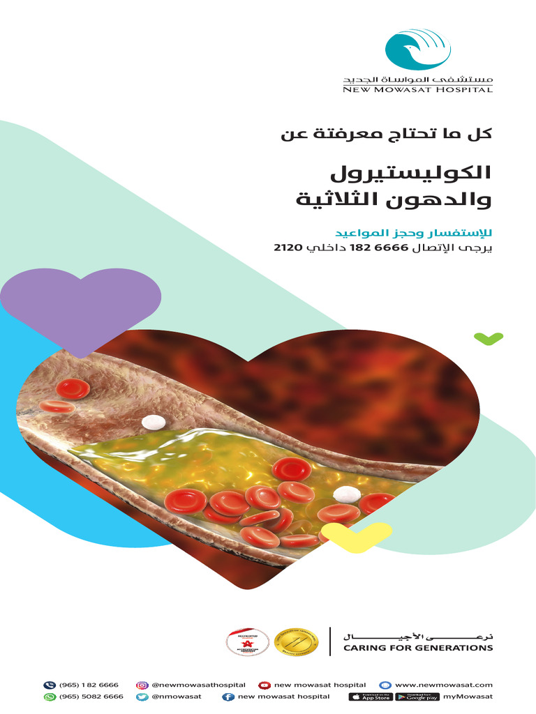 Cholesterol and Triglyceride Leaflet | PDF