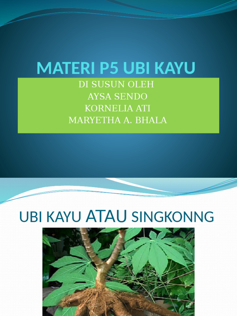 Materi p5 Ubi Kayu | PDF