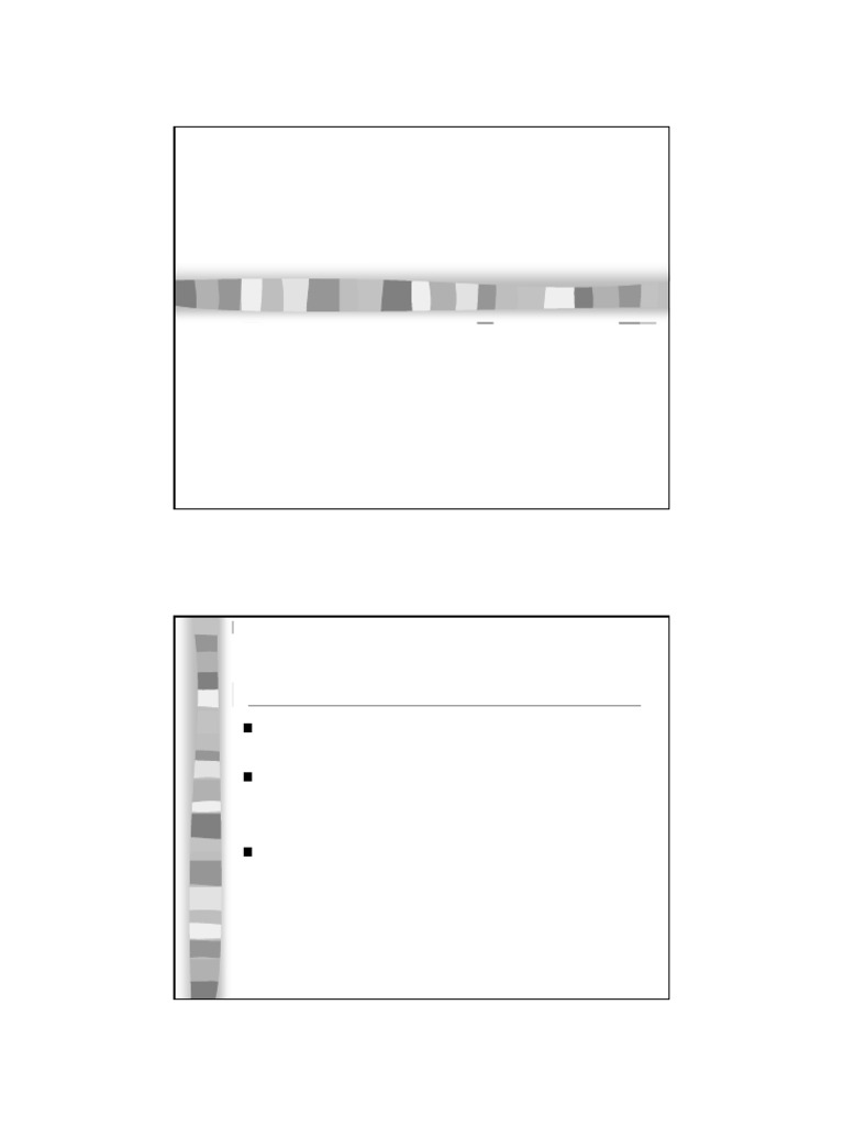 ENG202-Chapter-3-Equilibrium of A Particle | PDF