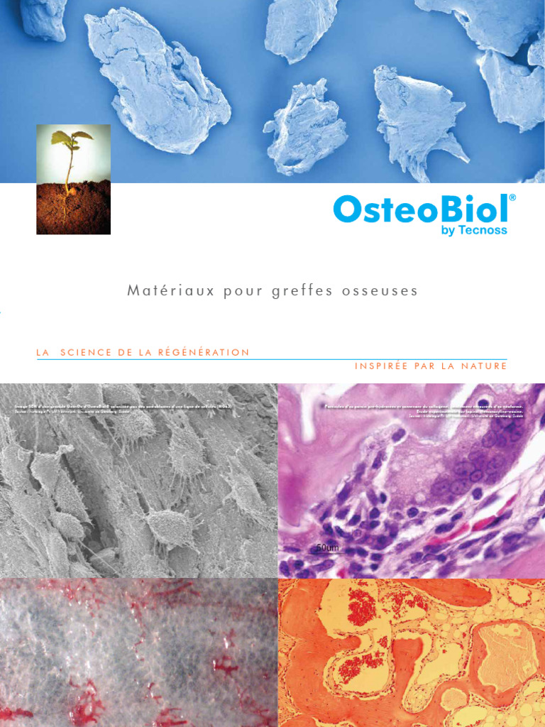 Catalogue - Osteobiol 2015 | PDF