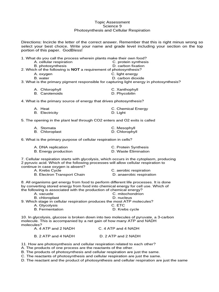 Topic Assessment photosynthesis and cellular respiration | PDF