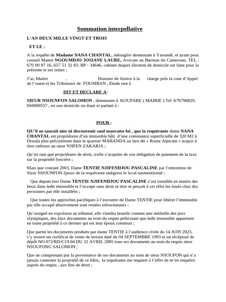 Sommation Interpellative Nana | PDF