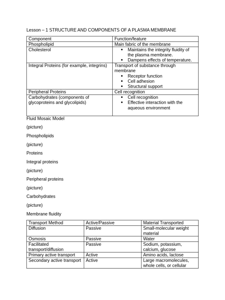 Lesson-1 General Biology 1 | PDF