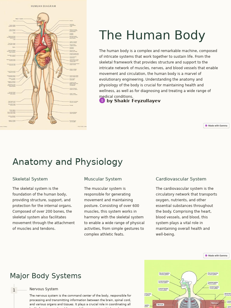 The-Human-Body | PDF