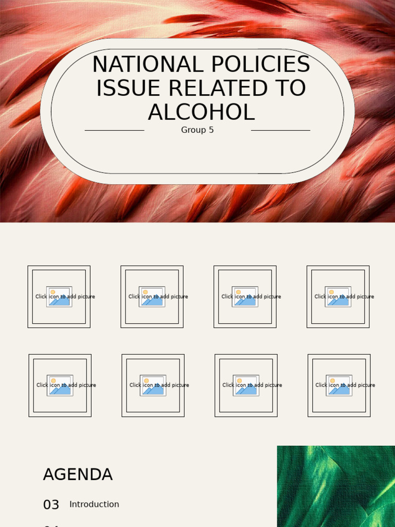 National Policies Issue Related To Alcohol | PDF