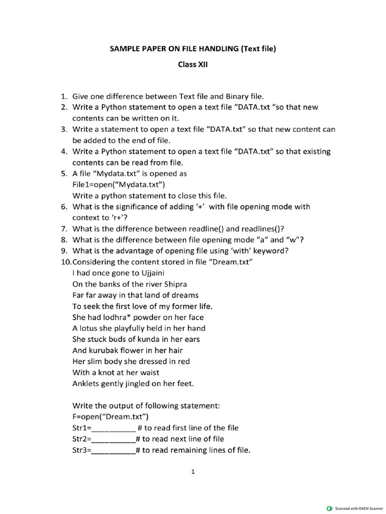 Sample Paper File Handling Class 12 | PDF