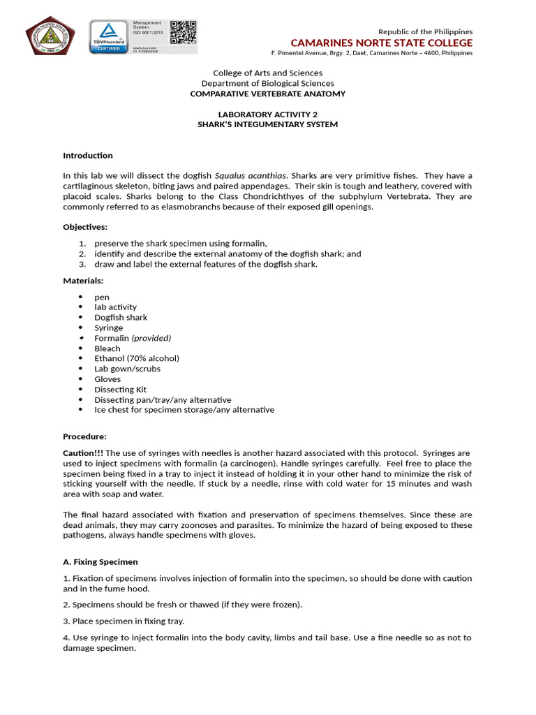 Laboratory Activity 2 Integumentary System | PDF