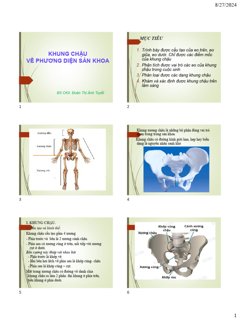 1.3. KHUNG CHẬU | PDF