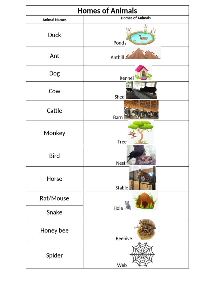 Homes of Animals | PDF