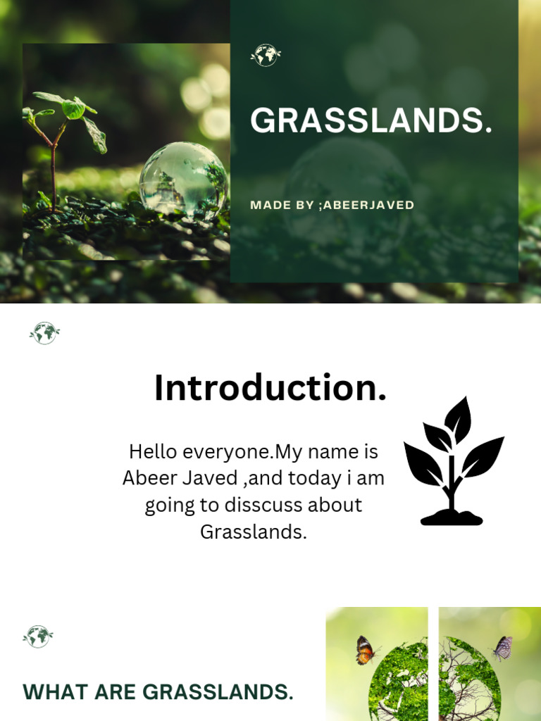 Grasslands Presentation | PDF