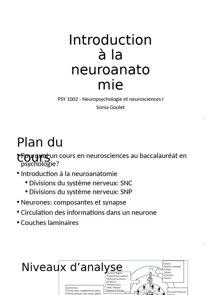 Cours 1 | PDF