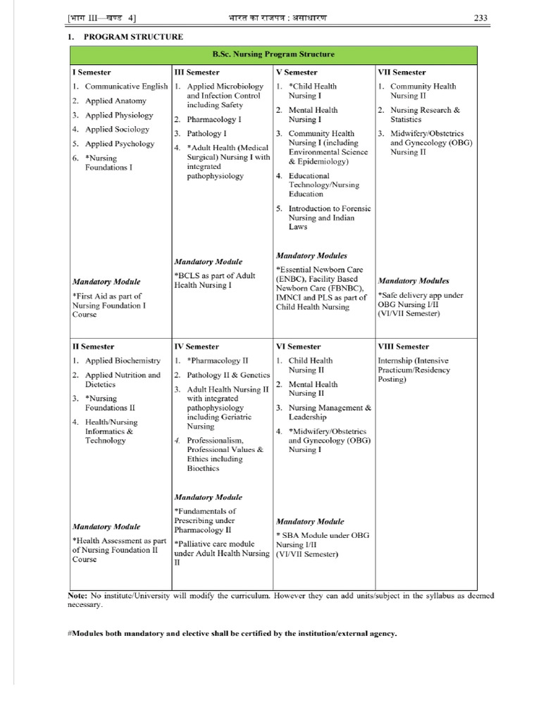 BSC NURSING 1st Year Syllabus | PDF
