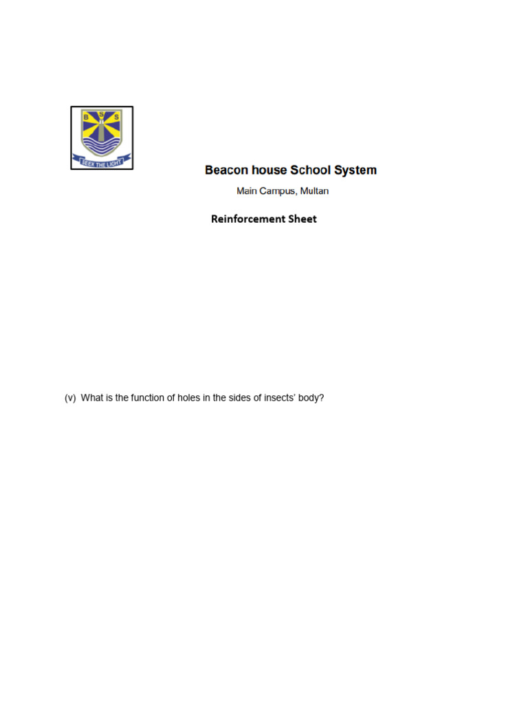 Reinforcement Sheet Oct.2023 final (1) | PDF