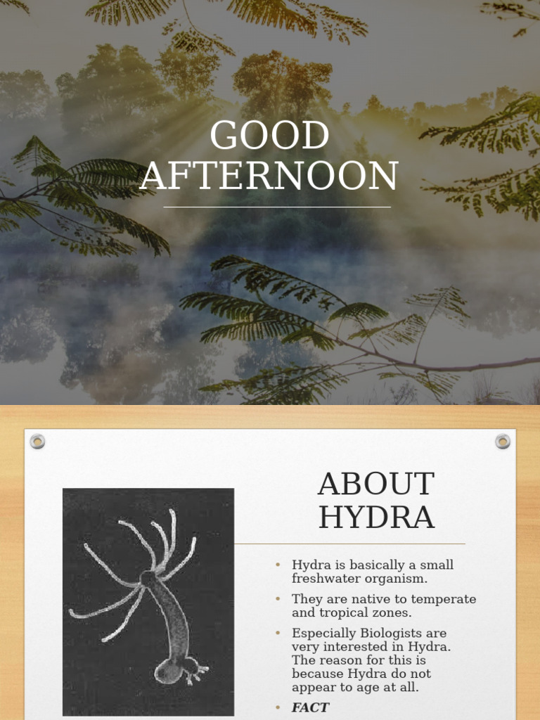 Zinnia & Sumona HYDRA | PDF