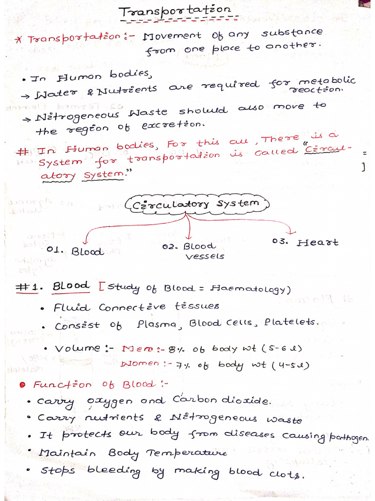Unit 3 Transportation | PDF