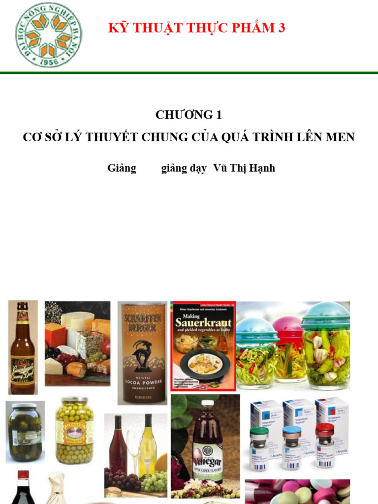 Khái Niệm-lợi Ích Và Quy Trình Lên Men (C1) | PDF