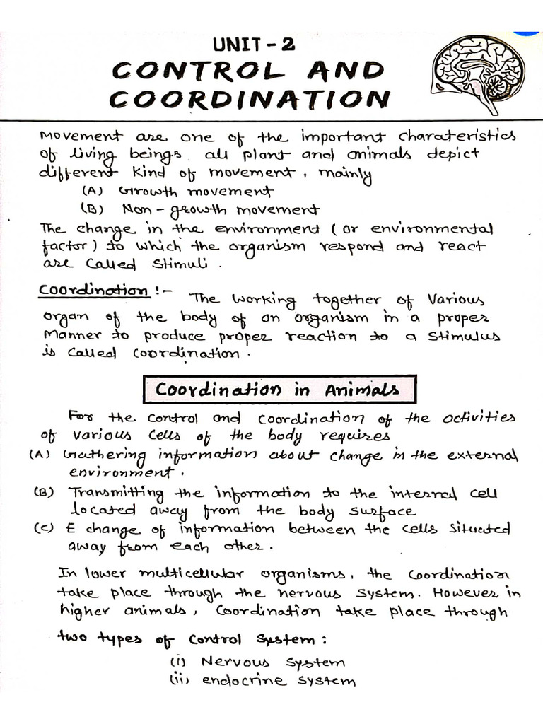 Control and Coordination | PDF
