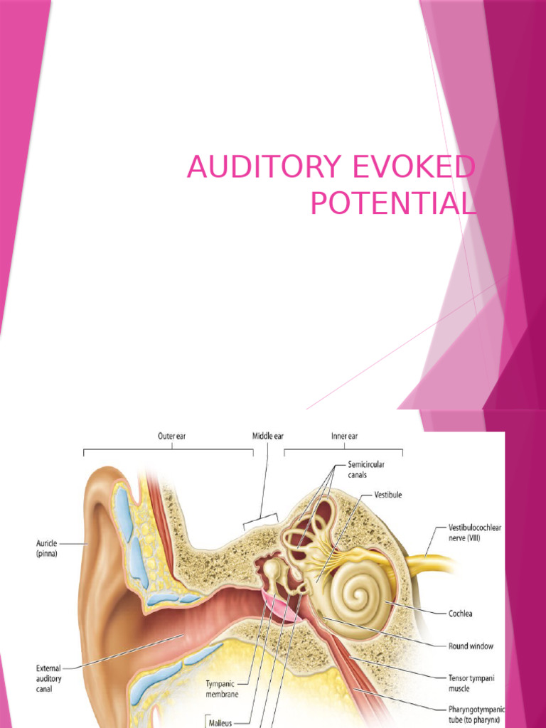 AUDITORY EVOKED POTENTIAL | PDF