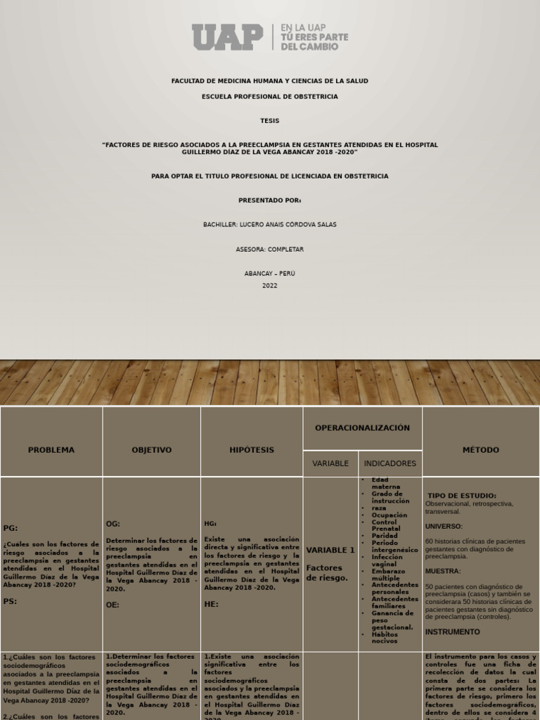 DIAPOSITIVAS LUCERO | PDF