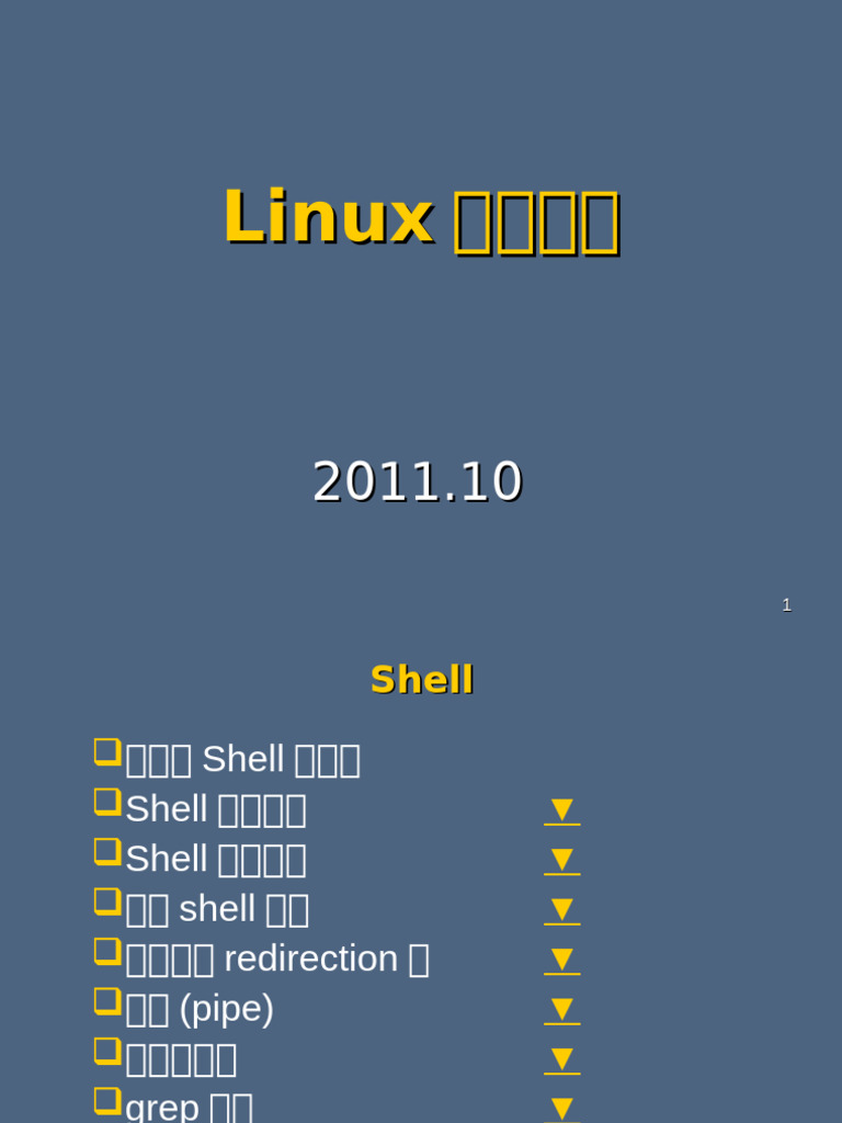 06-Shell | PDF
