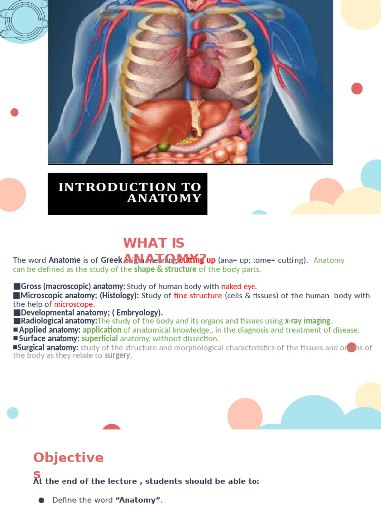 Anatomical Terminology | PDF