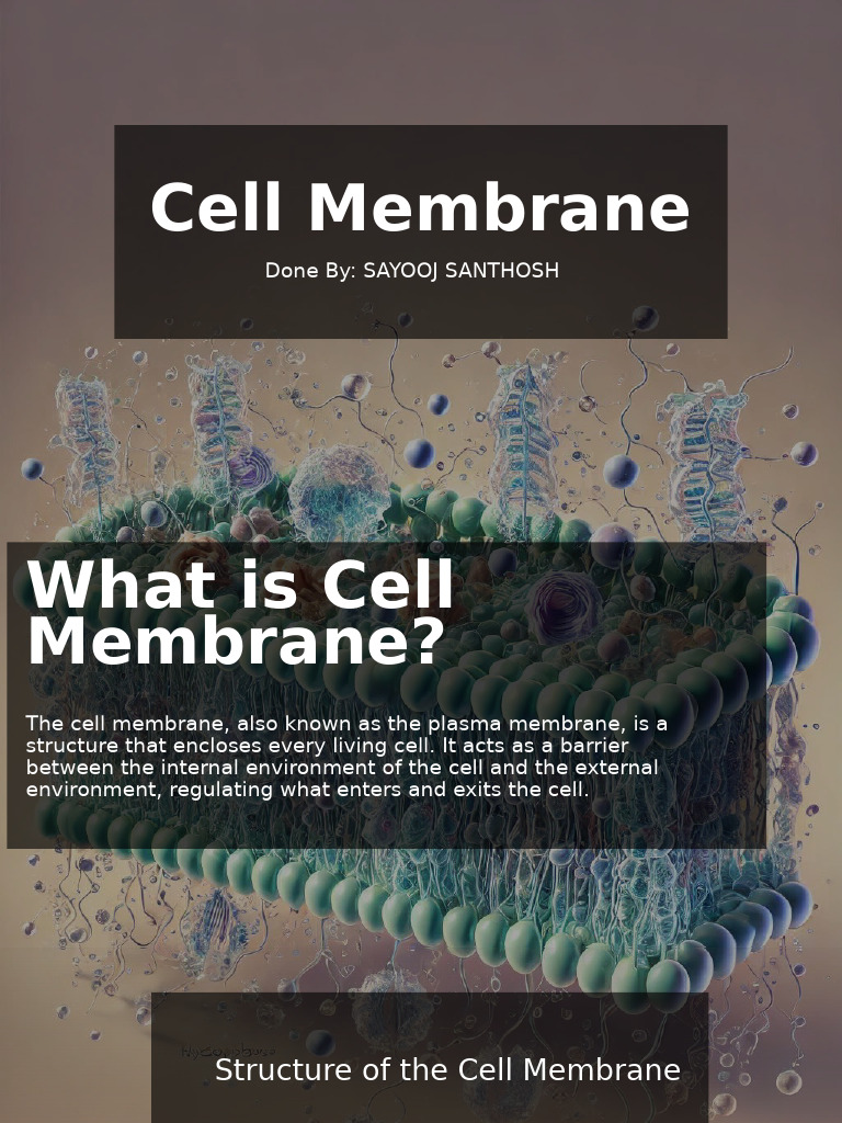 Cell Membrane An Overview | PDF