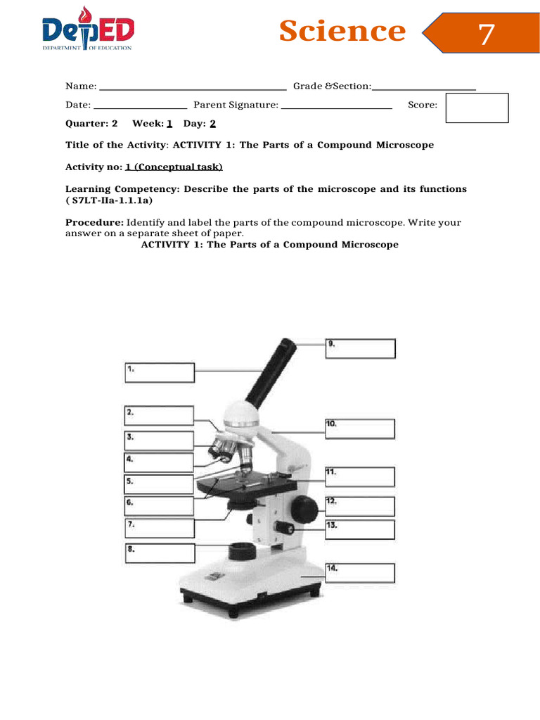 Science 7 - Q2 - DW2 | PDF
